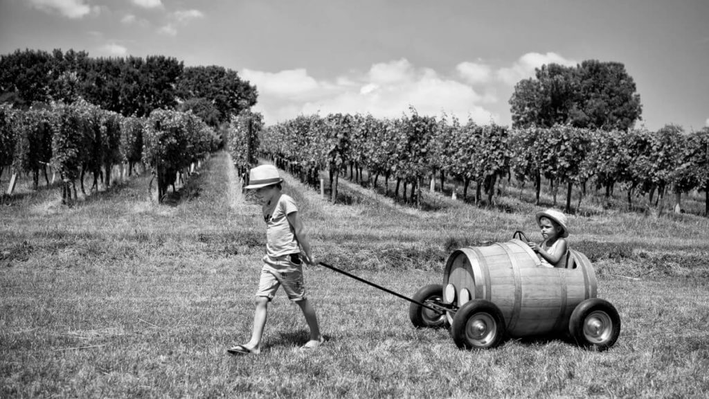 Vineyard Racer - Secret Classics